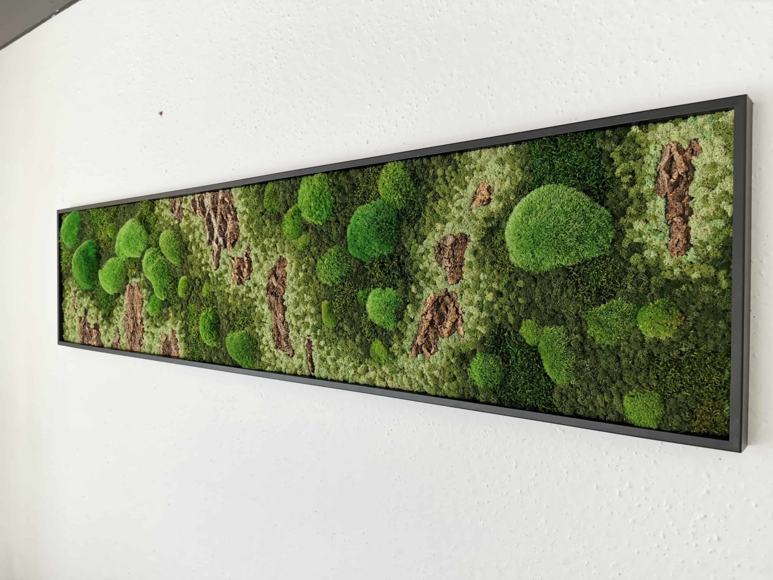 Moss Projects - Endless Mossibilities