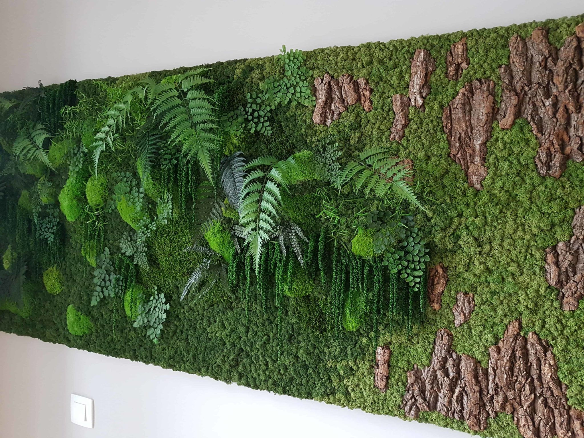 Op zoek naar een prachtige moswand? - Moss Projects