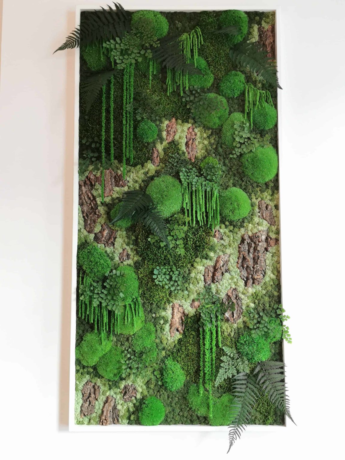 Over ons - Moss Projects