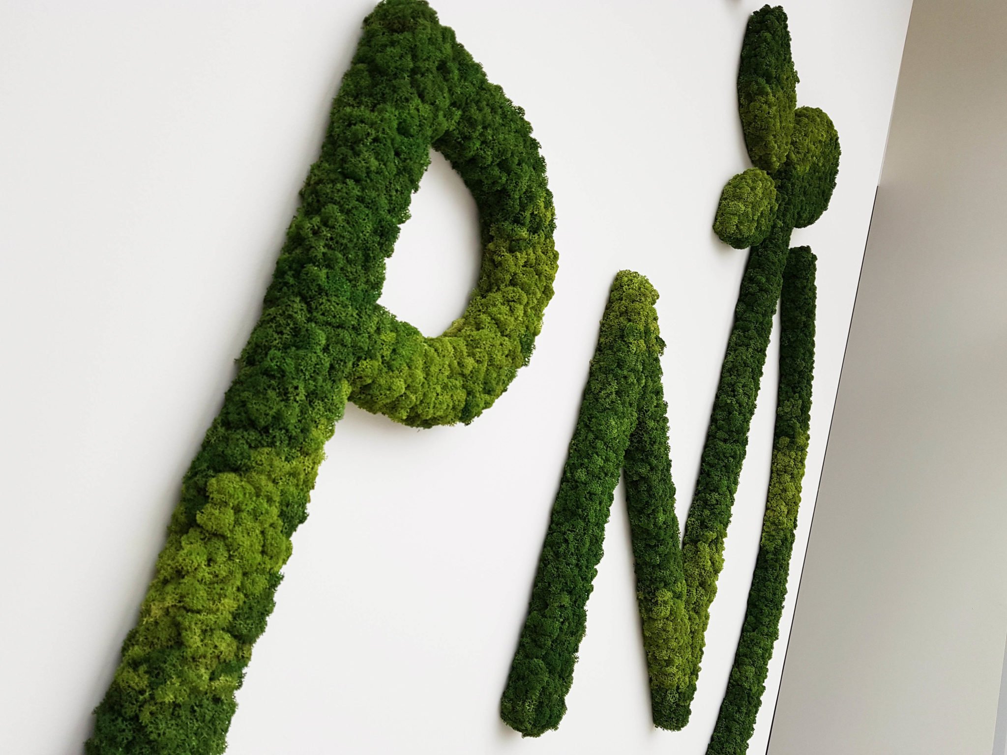 Maak indruk met een mos logo - Moss Projects